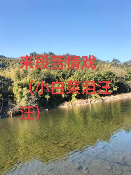 豫剧小白菜泪汪汪全集剧情_小白菜泪汪汪唱段赏析-第1张图片-山城妙识