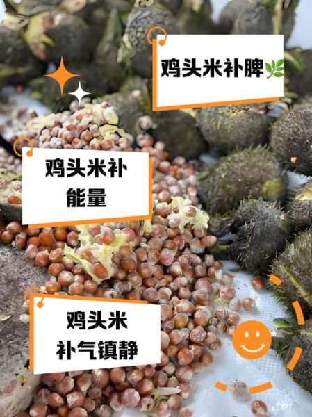 鸡头米的热量高吗_减肥能吃吗-第1张图片-山城妙识