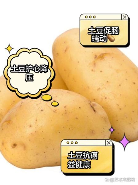 土豆的营养价值有哪些_土豆的功效与作用及禁忌-第3张图片-山城妙识 土豆的营养价值有哪些_土豆的功效与作用及禁忌-第3张图片-山城妙识
