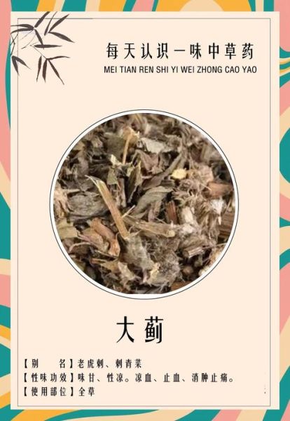 大蓟草的功效与作用_大蓟草能治什么病-第3张图片-山城妙识