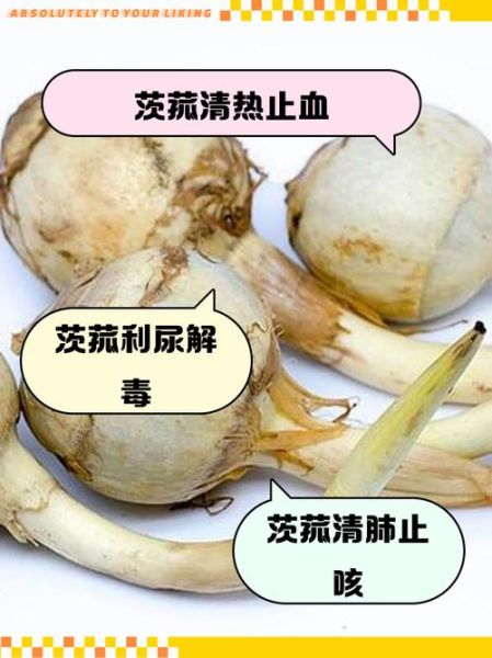 茨菰怎么吃_茨菰的功效与作用-第1张图片-山城妙识 茨菰怎么吃_茨菰的功效与作用-第1张图片-山城妙识