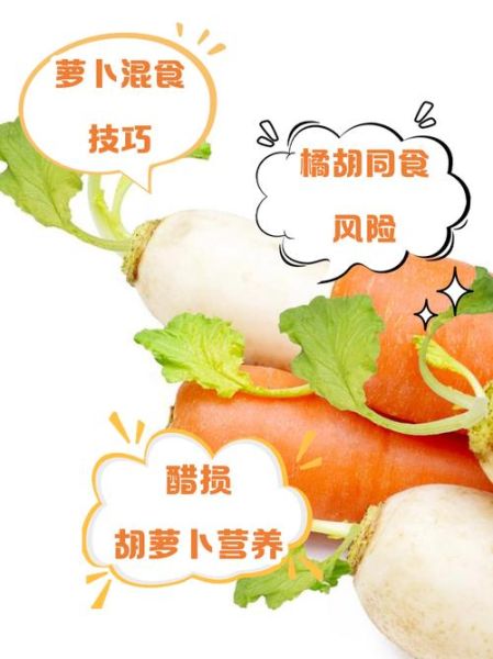 胡萝卜不能和什么食物同食_胡萝卜与哪些食物相克-第1张图片-山城妙识