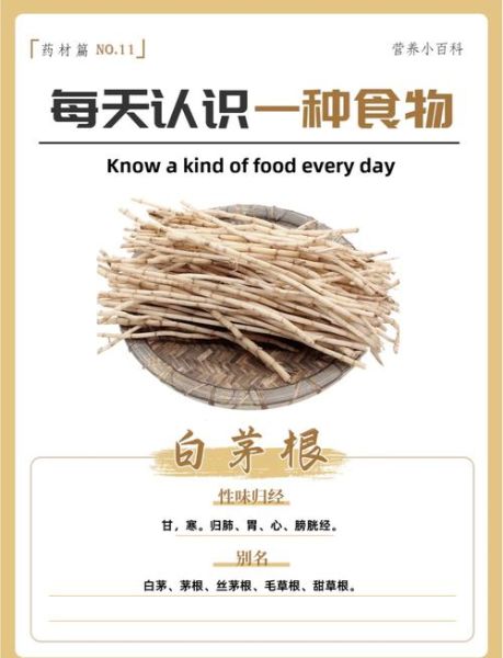 芦根和白茅根的区别_哪个更好-第1张图片-山城妙识 芦根和白茅根的区别_哪个更好-第1张图片-山城妙识