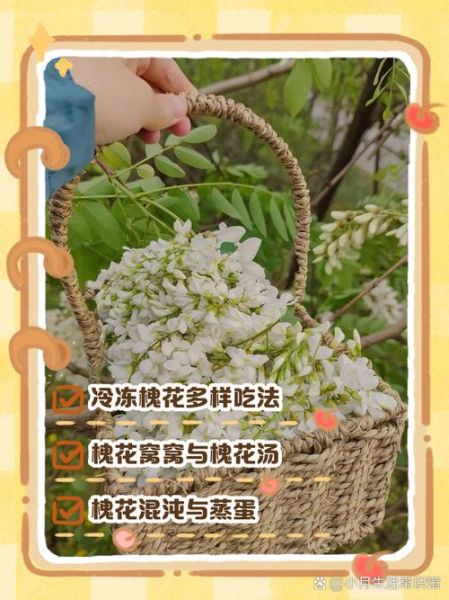 冻的洋槐花怎么做好吃_冻洋槐花做法大全-第1张图片-山城妙识