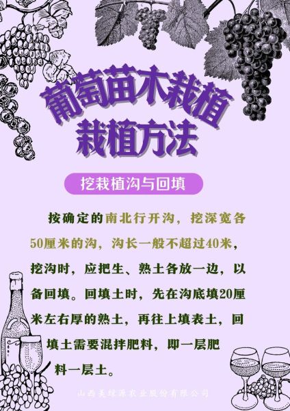 葡萄种植技术_如何提高葡萄甜度-第2张图片-山城妙识