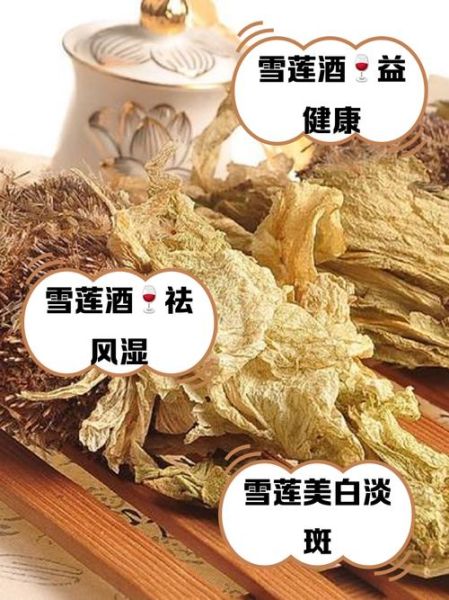 雪莲吃了有什么好处_雪莲的功效与作用-第3张图片-山城妙识