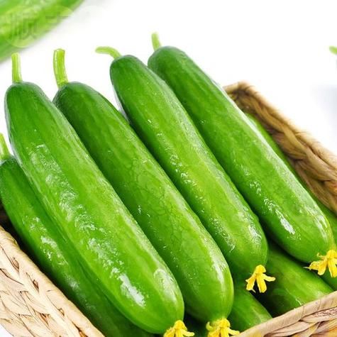 黄瓜热量高还是西红柿热量高_减肥吃哪个更好-第1张图片-山城妙识