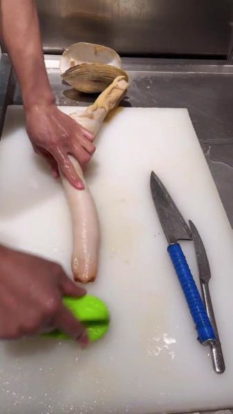 象拔蚌怎么杀_象拔蚌怎么处理干净-第2张图片-山城妙识