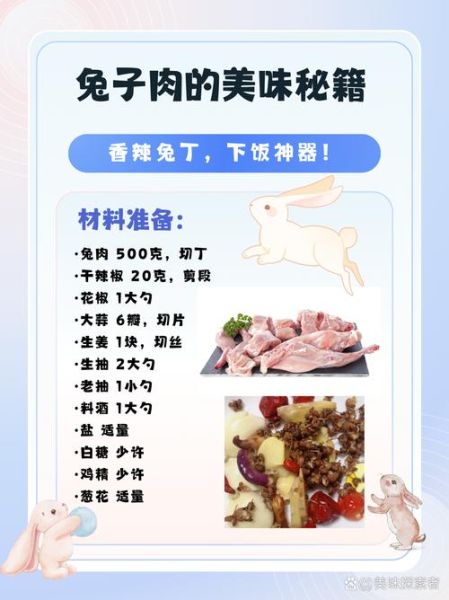 兔子做法大全_兔子肉怎么做好吃-第2张图片-山城妙识