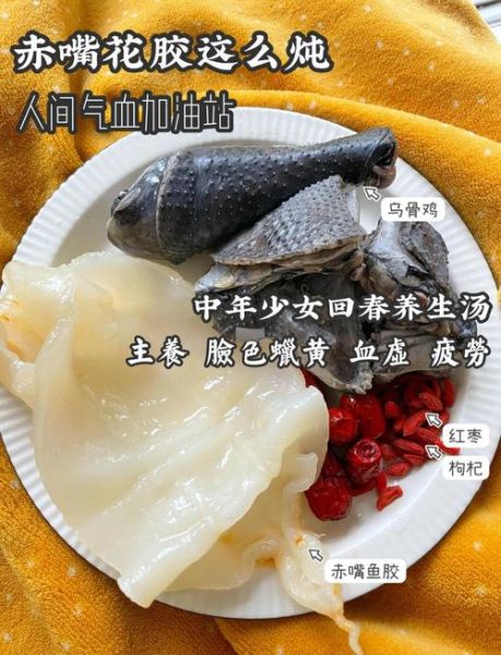 鱼胶怎么泡发_鱼胶炖汤做法大全-第1张图片-山城妙识