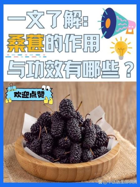 桑葚子的功效与作用_桑葚子的禁忌有哪些-第2张图片-山城妙识 桑葚子的功效与作用_桑葚子的禁忌有哪些-第2张图片-山城妙识