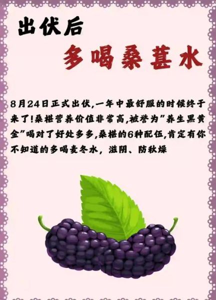 桑葚子的功效与作用_桑葚子的禁忌有哪些-第3张图片-山城妙识 桑葚子的功效与作用_桑葚子的禁忌有哪些-第3张图片-山城妙识