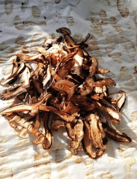 香菇粉的功效与作用_香菇粉怎么吃效果最好-第1张图片-山城妙识