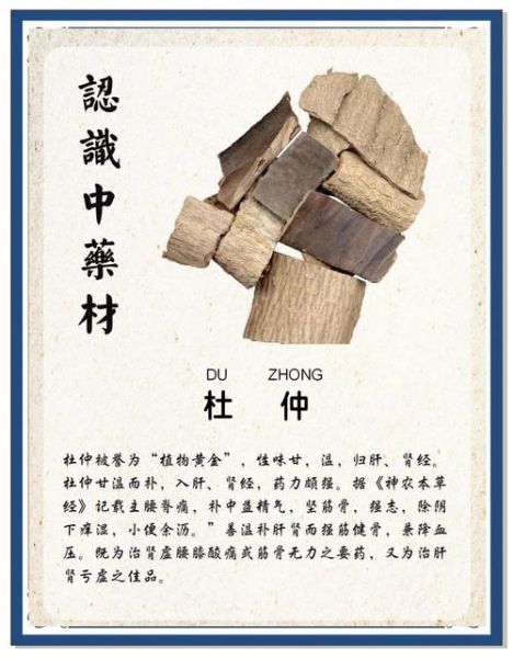 杜仲怎么吃效果最好_杜仲的正确吃法与用量-第1张图片-山城妙识