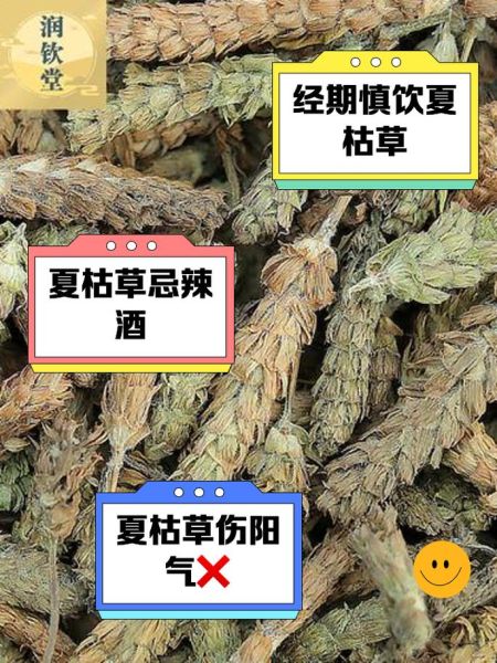夏枯草口服液能长期喝吗_夏枯草口服液副作用-第1张图片-山城妙识 夏枯草口服液能长期喝吗_夏枯草口服液副作用-第1张图片-山城妙识