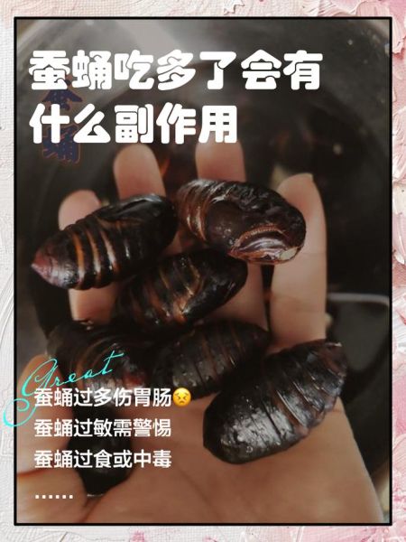 蚕蛹一天吃几个合适_蚕蛹吃多了会怎样-第2张图片-山城妙识