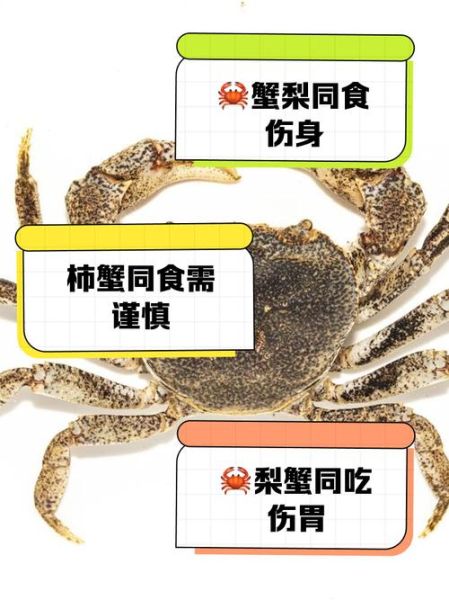 海螃蟹不能和什么一起吃_海螃蟹与哪些食物相克-第2张图片-山城妙识