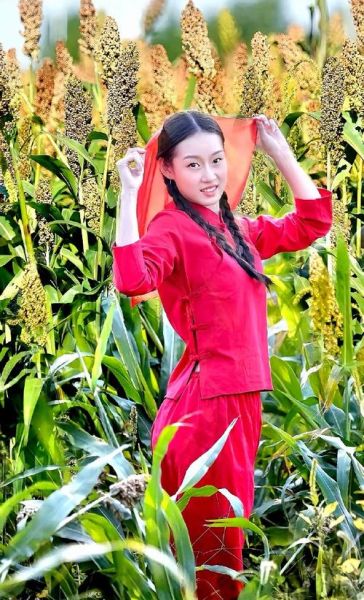 红高粱图片哪里找_红高粱图片高清下载-第2张图片-山城妙识 红高粱图片哪里找_红高粱图片高清下载-第2张图片-山城妙识