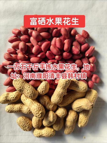 河南花生价格最新行情2021_2021河南花生多少钱一斤-第3张图片-山城妙识