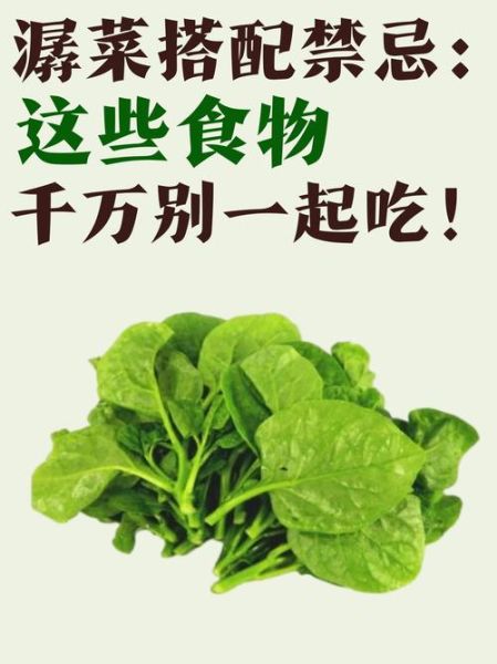 潺菜怎么种_潺菜的功效与作用-第1张图片-山城妙识