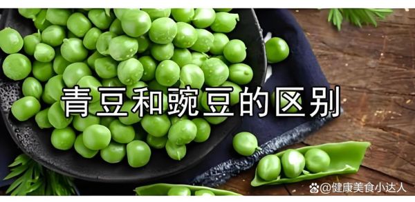 青豆和黄豆的区别_哪个营养更高-第2张图片-山城妙识 青豆和黄豆的区别_哪个营养更高-第2张图片-山城妙识