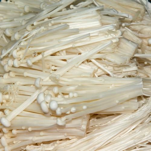 金针菇吃之前要焯水吗_焯水几分钟才安全-第1张图片-山城妙识 金针菇吃之前要焯水吗_焯水几分钟才安全-第1张图片-山城妙识