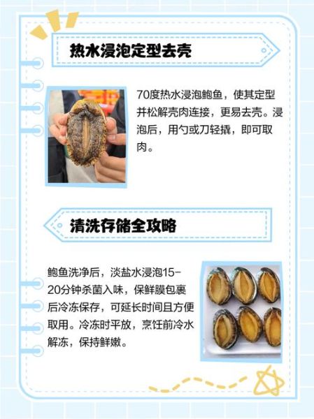 鲍鱼怎么洗最快最干净_鲍鱼清洗技巧-第3张图片-山城妙识 鲍鱼怎么洗最快最干净_鲍鱼清洗技巧-第3张图片-山城妙识