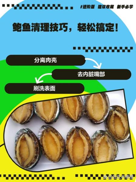 鲍鱼怎么洗最快最干净_鲍鱼清洗技巧-第2张图片-山城妙识 鲍鱼怎么洗最快最干净_鲍鱼清洗技巧-第2张图片-山城妙识