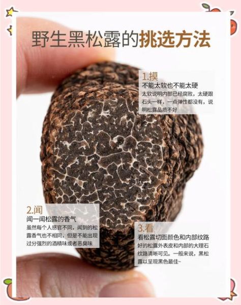 黑松露长什么样_黑松露如何挑选-第1张图片-山城妙识 黑松露长什么样_黑松露如何挑选-第1张图片-山城妙识