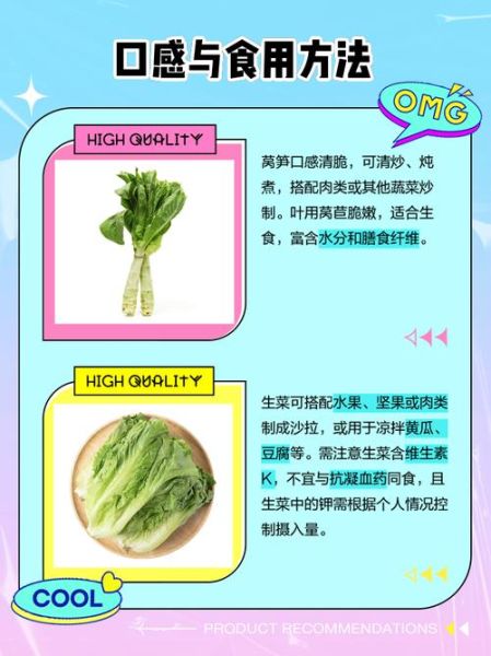 长叶莴苣怎么保存_长叶莴苣和生菜的区别-第1张图片-山城妙识 长叶莴苣怎么保存_长叶莴苣和生菜的区别-第1张图片-山城妙识