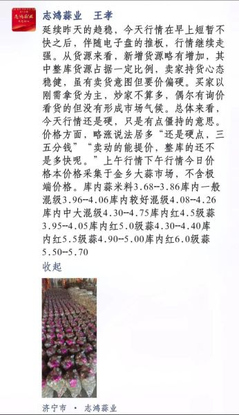 金乡大蒜价格还会涨吗_金乡大蒜最新行情-第1张图片-山城妙识 金乡大蒜价格还会涨吗_金乡大蒜最新行情-第1张图片-山城妙识