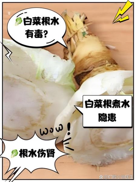 白菜根的功效与作用_白菜根的禁忌有哪些-第3张图片-山城妙识 白菜根的功效与作用_白菜根的禁忌有哪些-第3张图片-山城妙识