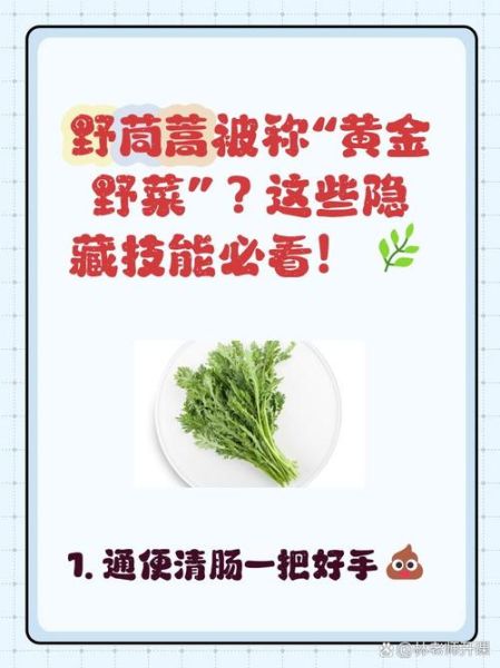 野茼蒿能吃吗_野茼蒿怎么吃-第3张图片-山城妙识