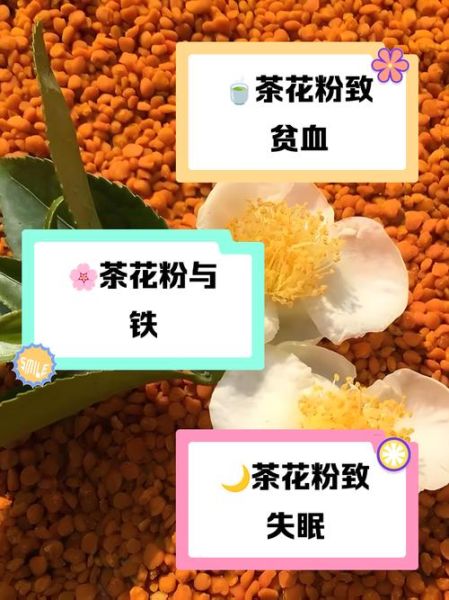 茶花粉适合什么人吃_茶花粉的禁忌人群有哪些-第2张图片-山城妙识