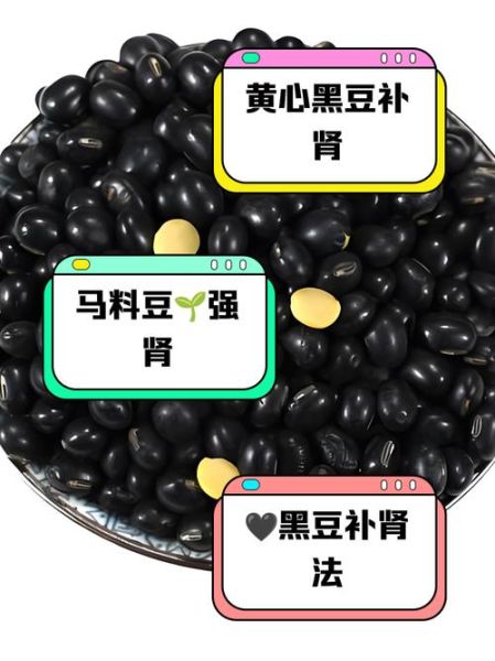 黑豆补肾吗_黑豆怎么吃最补肾-第1张图片-山城妙识