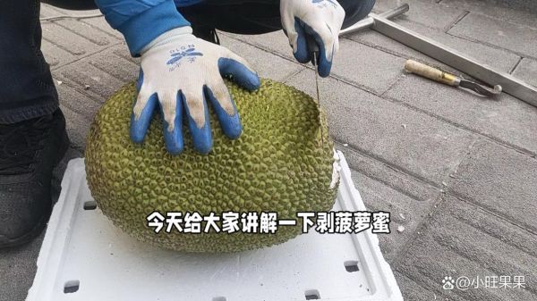 菠萝蜜国际通道2怎么开通_菠萝蜜国际通道2稳定吗-第3张图片-山城妙识