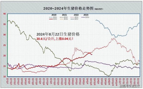 生猪期货行情走势图怎么看_生猪期货价格还会涨吗-第1张图片-山城妙识