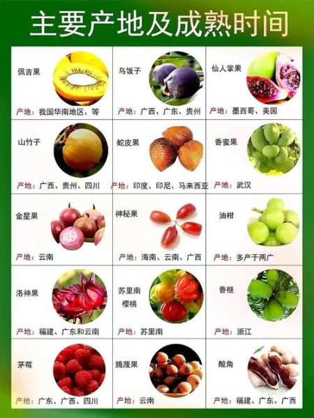 特殊水果图片名字大全_如何快速识别罕见水果-第1张图片-山城妙识 特殊水果图片名字大全_如何快速识别罕见水果-第1张图片-山城妙识