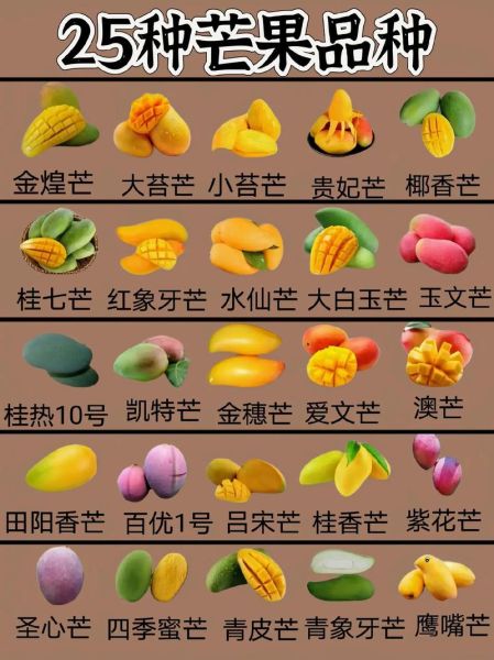 特殊水果图片名字大全_如何快速识别罕见水果-第2张图片-山城妙识 特殊水果图片名字大全_如何快速识别罕见水果-第2张图片-山城妙识