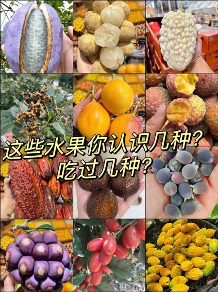特殊水果图片名字大全_如何快速识别罕见水果-第3张图片-山城妙识 特殊水果图片名字大全_如何快速识别罕见水果-第3张图片-山城妙识