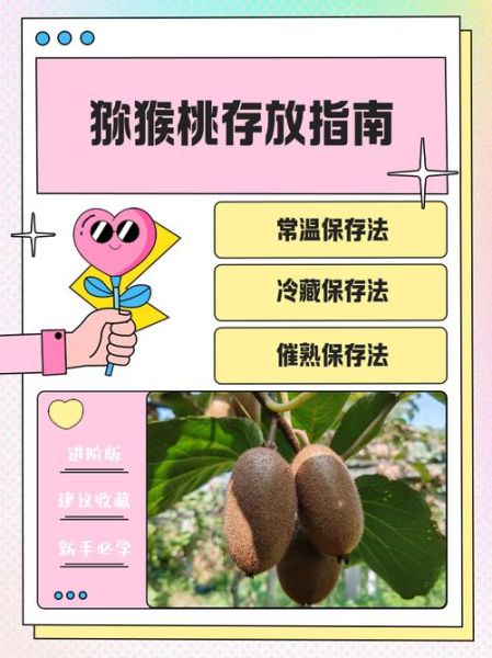 猕猴桃怎么保存时间长_猕猴桃可以放多久-第1张图片-山城妙识 猕猴桃怎么保存时间长_猕猴桃可以放多久-第1张图片-山城妙识