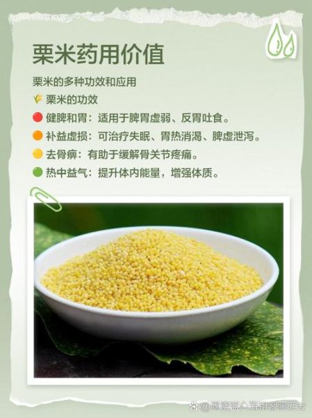 粟米是粗粮吗_粟米的营养价值与功效-第2张图片-山城妙识 粟米是粗粮吗_粟米的营养价值与功效-第2张图片-山城妙识