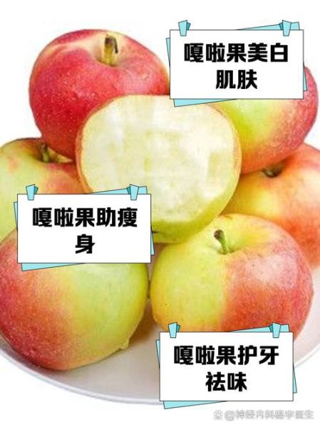 嘎啦果的功效与作用_嘎啦果适合什么人吃-第1张图片-山城妙识