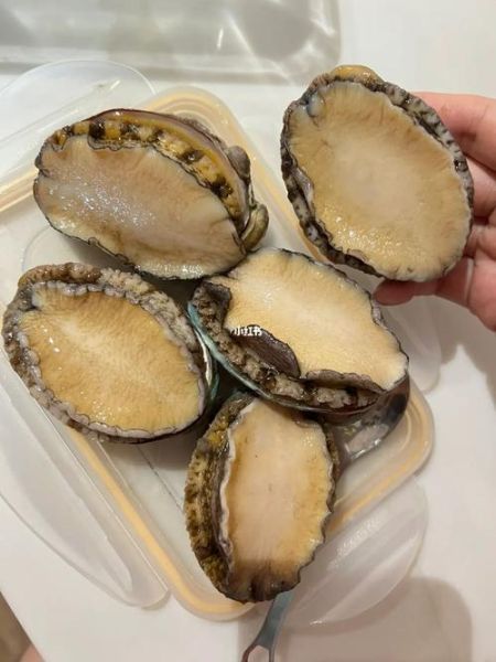 鲍鱼死了可以吃吗_死了多久还能吃-第1张图片-山城妙识