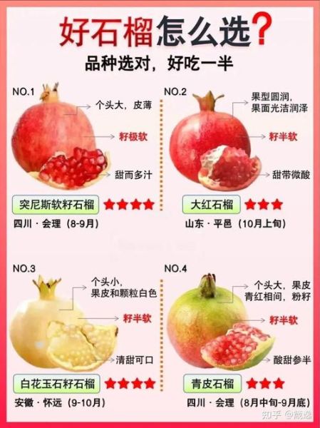 石榴是热性还是凉性_石榴的功效与作用-第3张图片-山城妙识