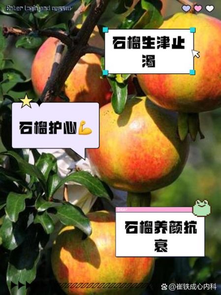 石榴是热性还是凉性_石榴的功效与作用-第1张图片-山城妙识