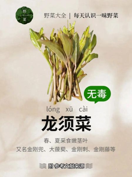 龙须菜的做法大全_龙须菜的功效与作用-第1张图片-山城妙识