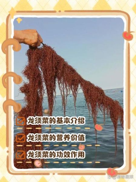 龙须菜的做法大全_龙须菜的功效与作用-第2张图片-山城妙识