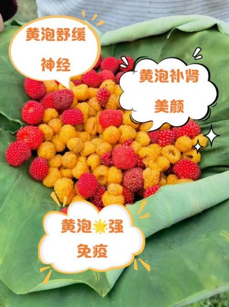 黄葵泡水喝有什么功效_黄葵泡水喝的禁忌-第2张图片-山城妙识