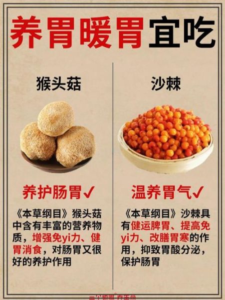 猴头菇的营养价值_猴头菇怎么吃最养胃-第1张图片-山城妙识